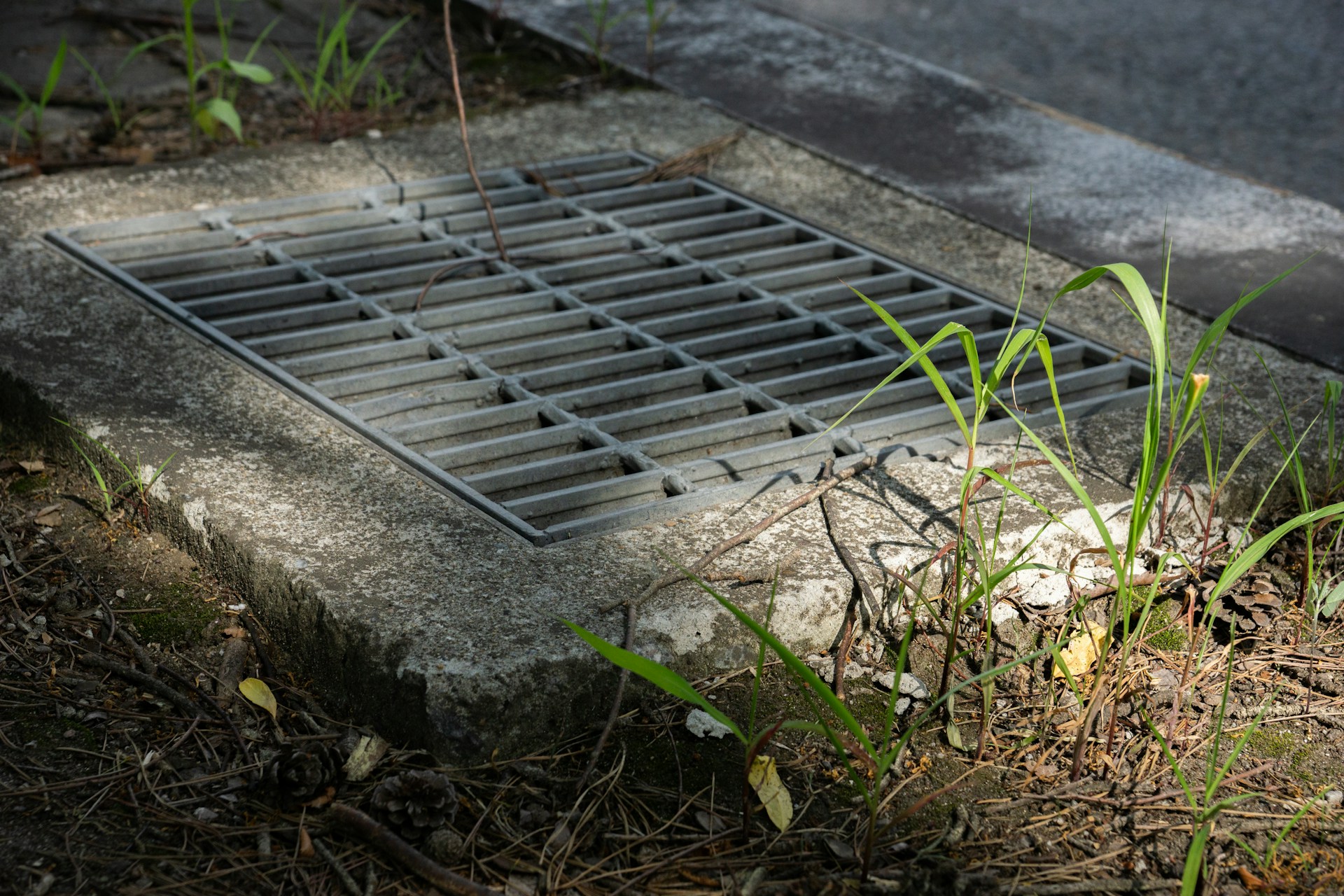 Preparing Your Home for Drain Installation